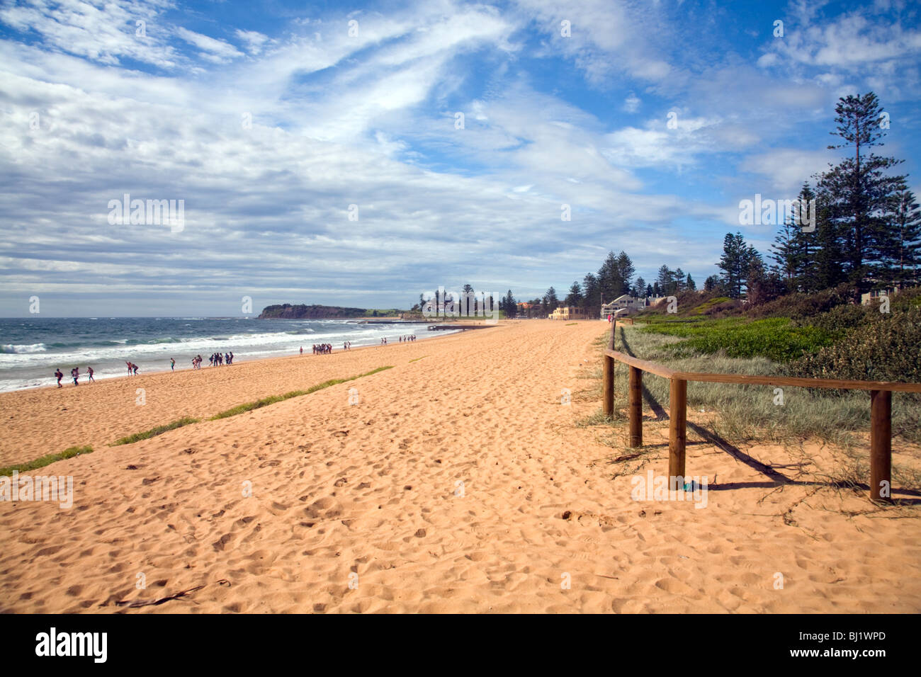 looking south along collaroy beach one of sydney's northern beaches ...