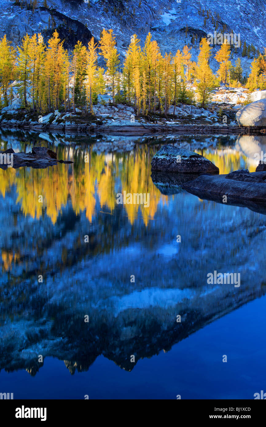 Larch trees at Leprechaun Lake in the Enchantment Lakes wilderness in ...