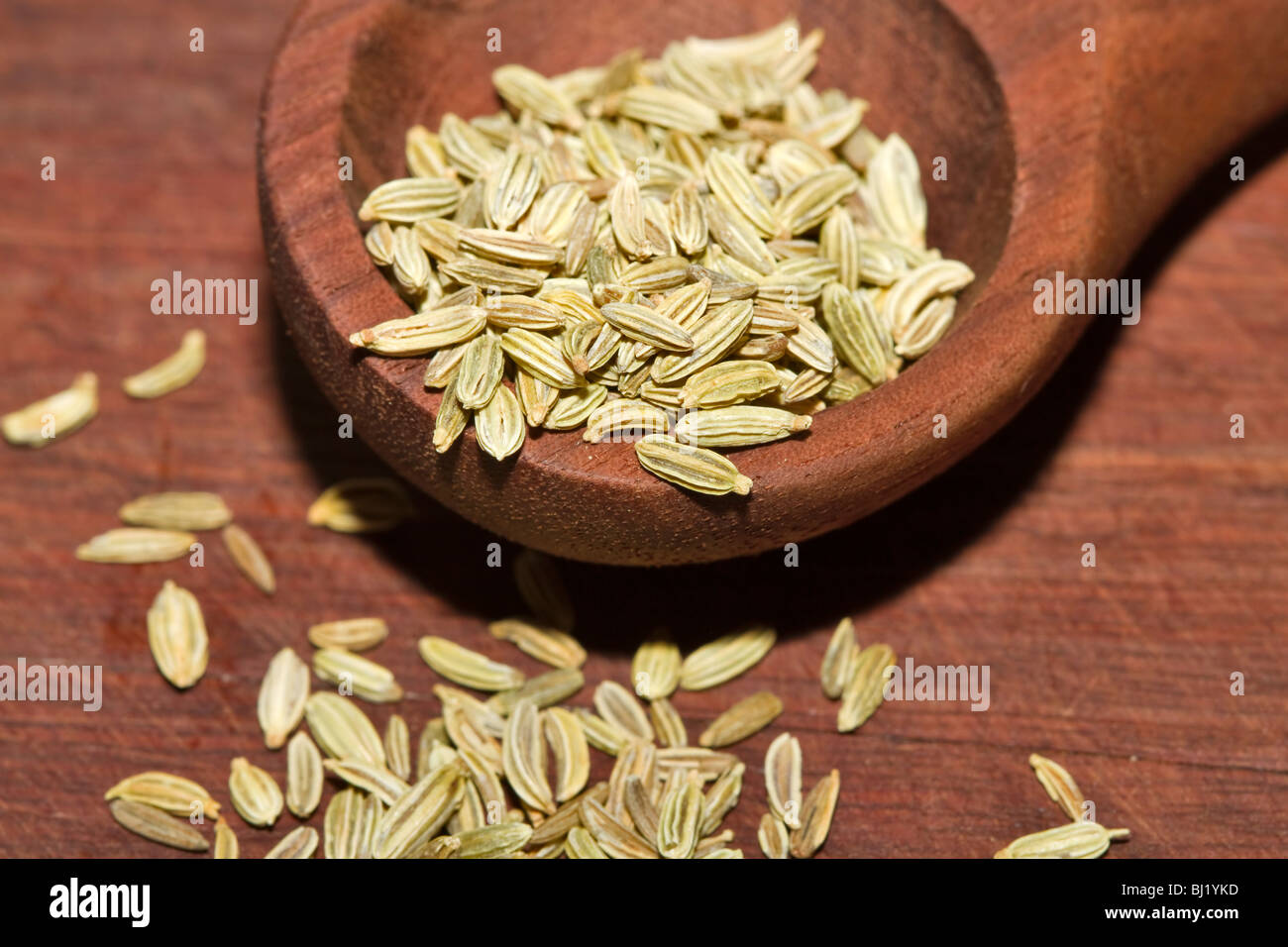 Fennel seed hi-res stock photography and images - Alamy
