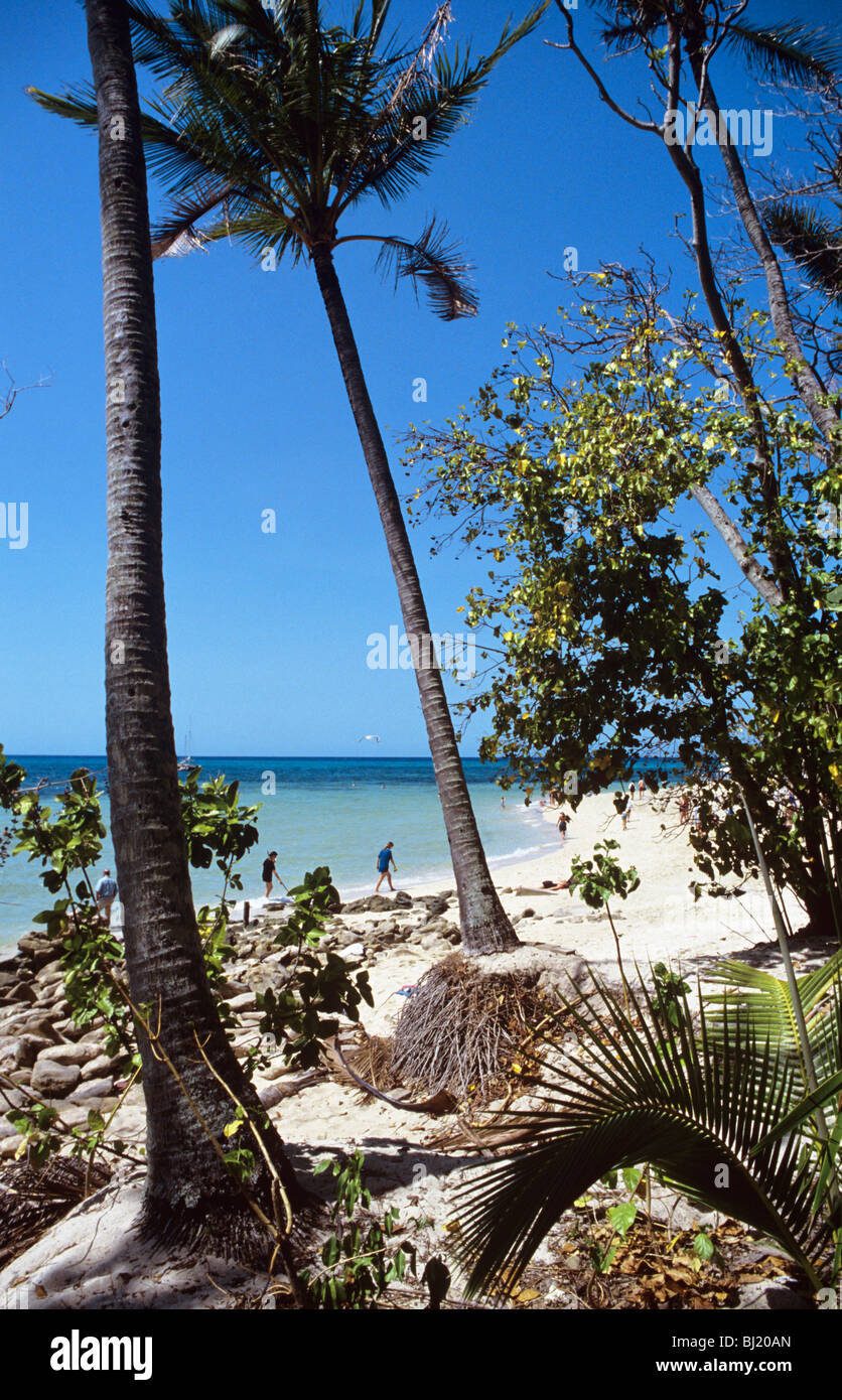 Coral cay coral key hi-res stock photography and images - Alamy