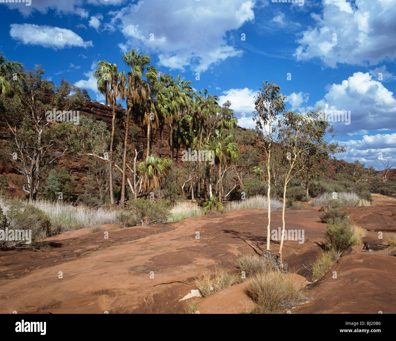 Finke Gorge National Park - Outback scenery in Palm Valley Stock Photo ...
