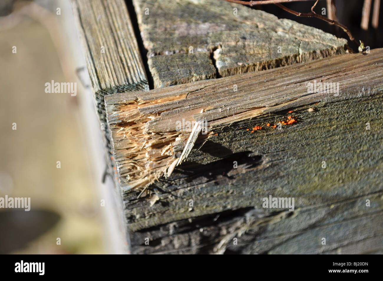 Old wooden box splinters hi-res stock photography and images - Alamy