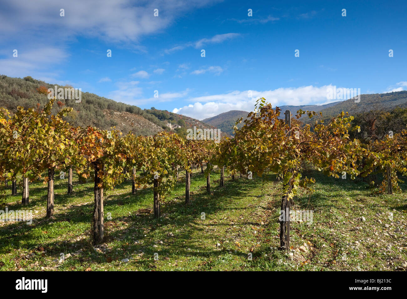 Pietro canali hi-res stock photography and images - Alamy