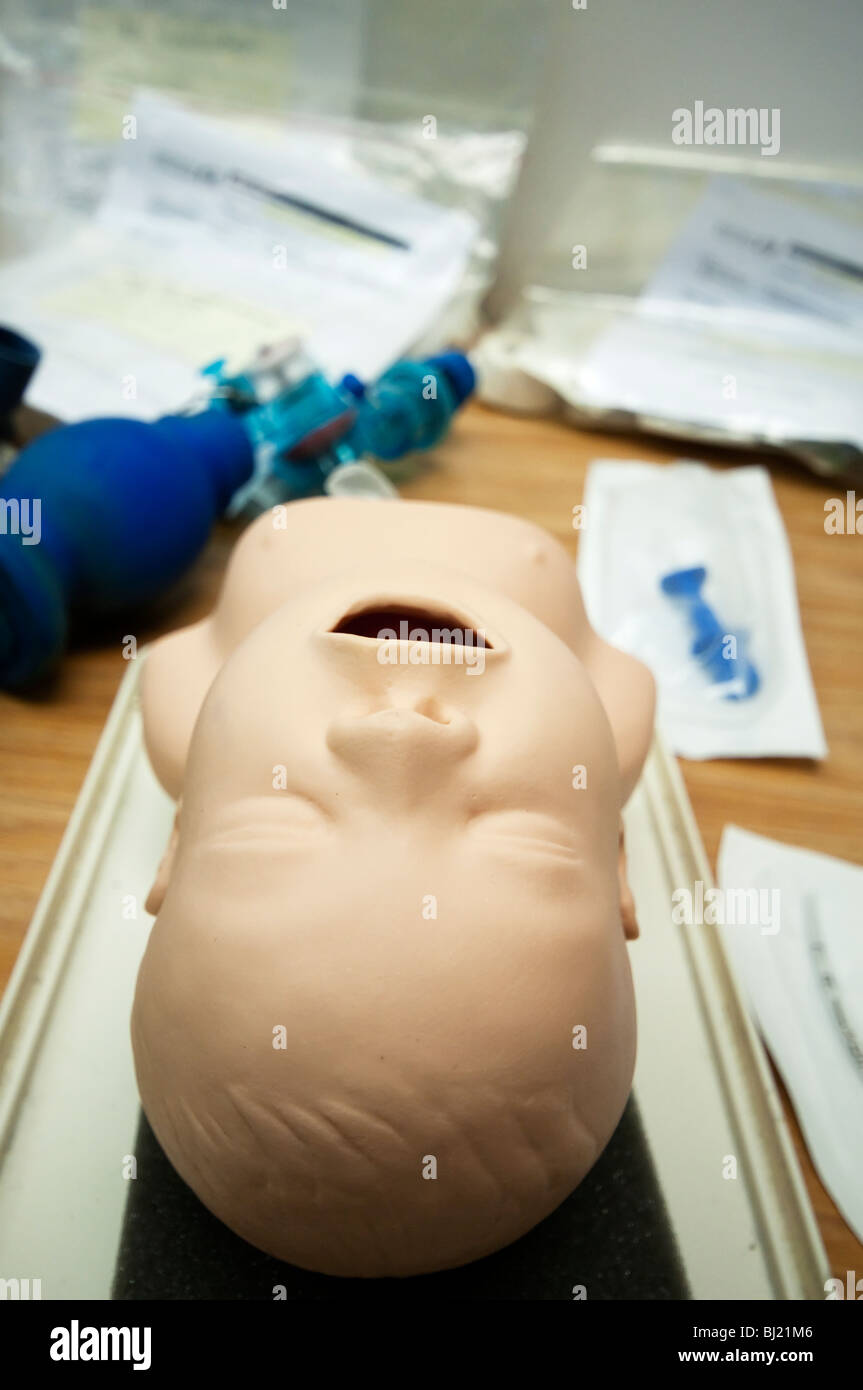 Medical Dummy Student High Resolution Stock Photography and Images - Alamy