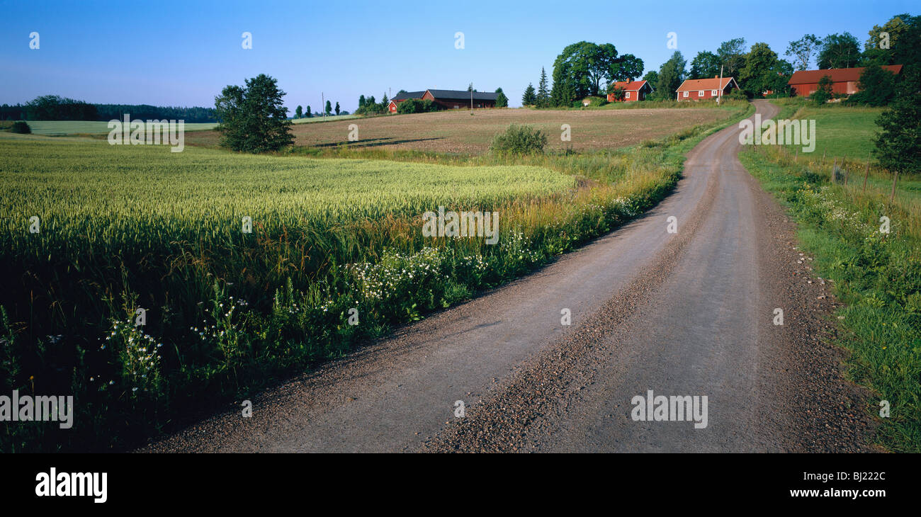 Farm yard road hi-res stock photography and images - Alamy