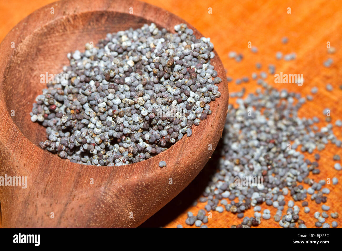 Close Up Of Opium Poppy Seed High Resolution Stock Photography and ...
