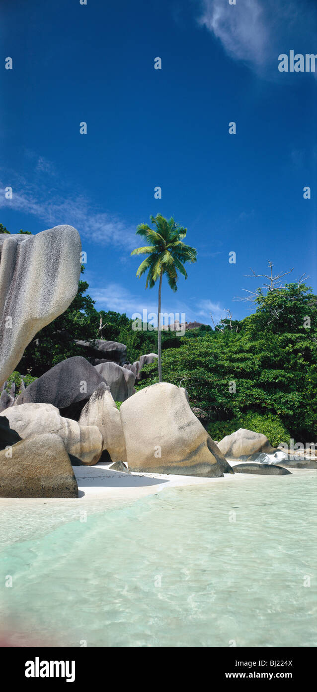 Beach with cliffs Stock Photo - Alamy
