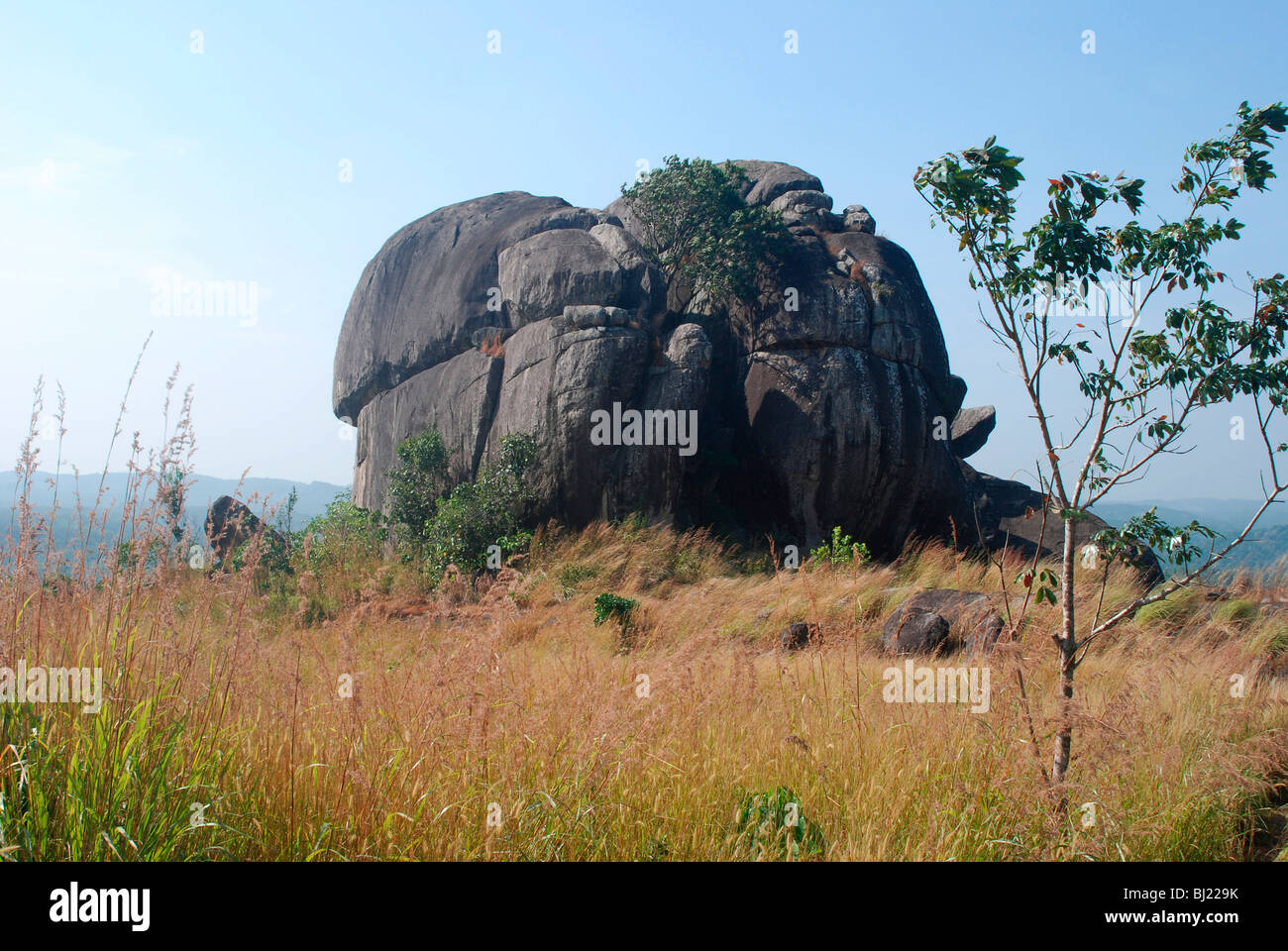 a landscape from western ghats,kerala,india Stock Photo - Alamy