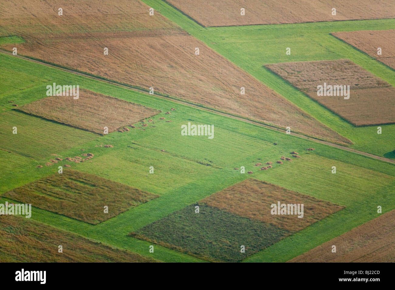 Fields for testing crops Stock Photo - Alamy