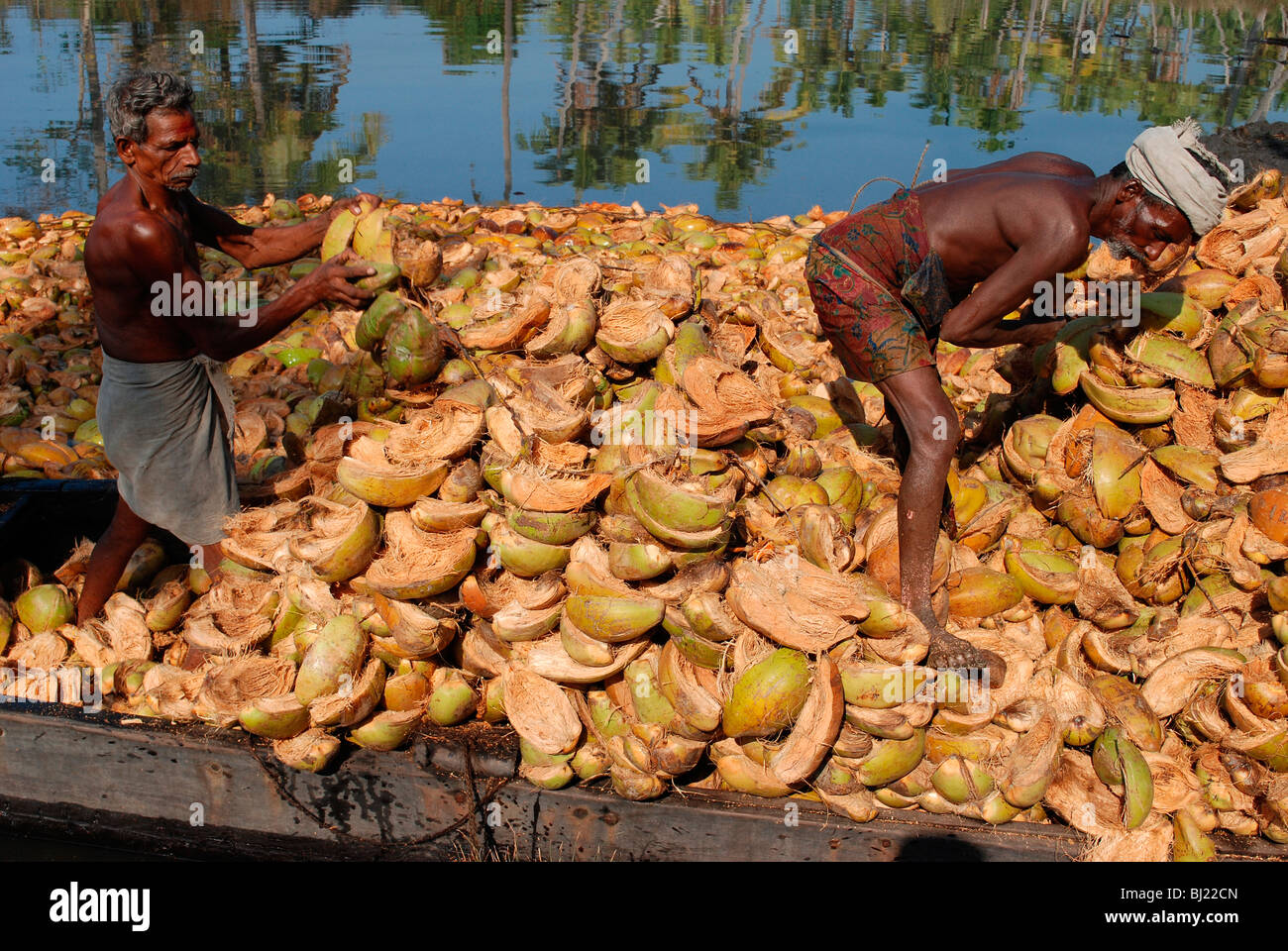 Fresh coconut shells coir making hi-res stock photography and images ...