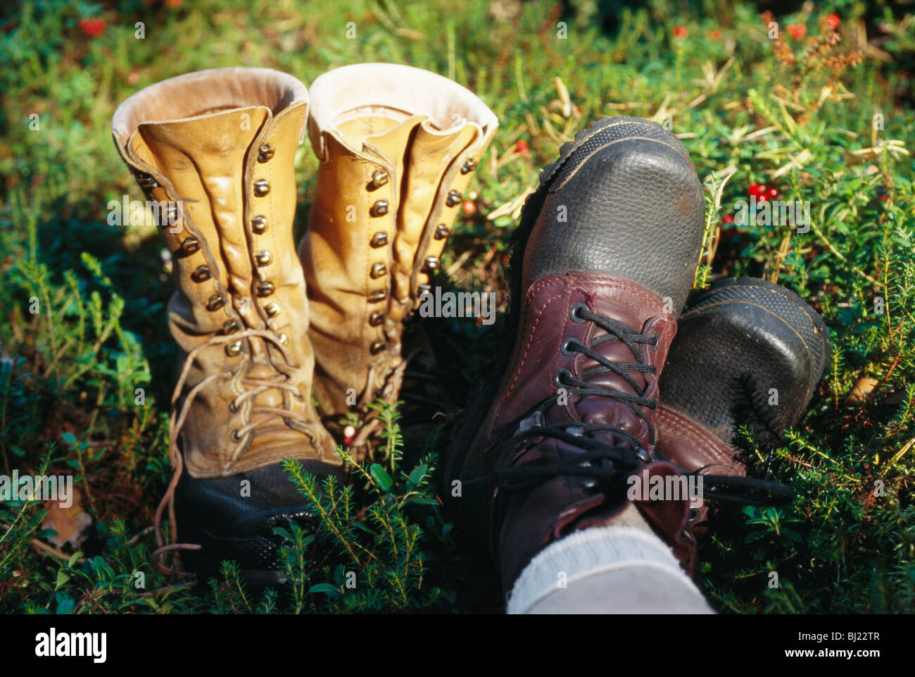 Hiking boots on grass, Sweden Stock Photo - Alamy