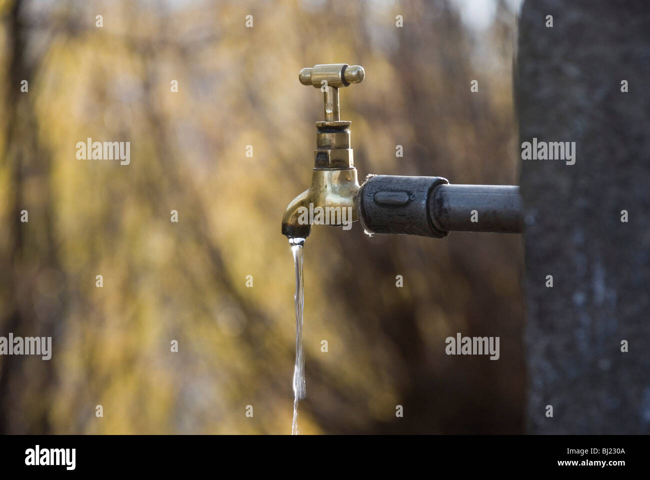 Flowing tap against tree dapple background in autumn Stock Photo - Alamy