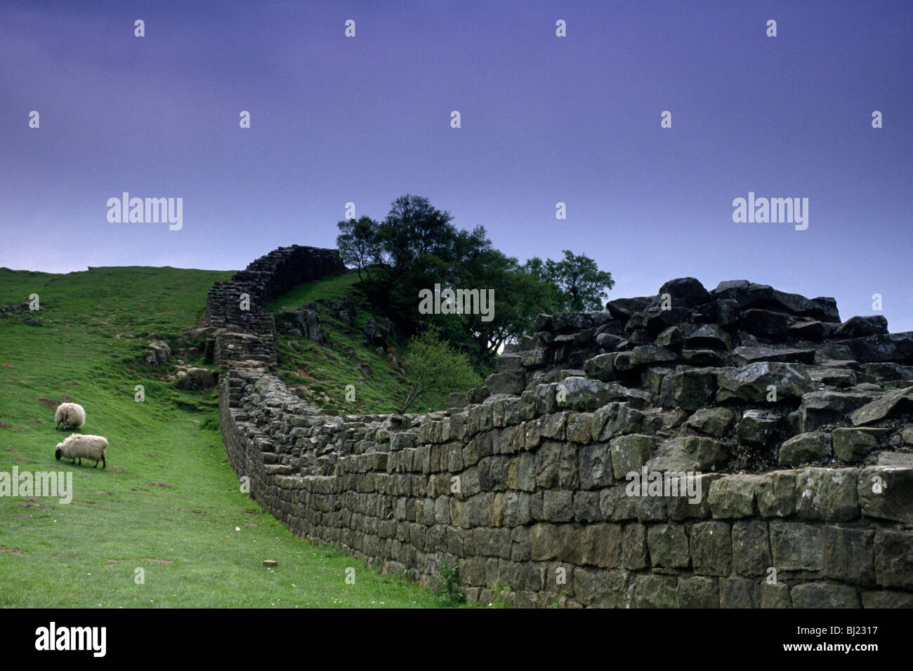 Roman wall britain hi-res stock photography and images - Alamy