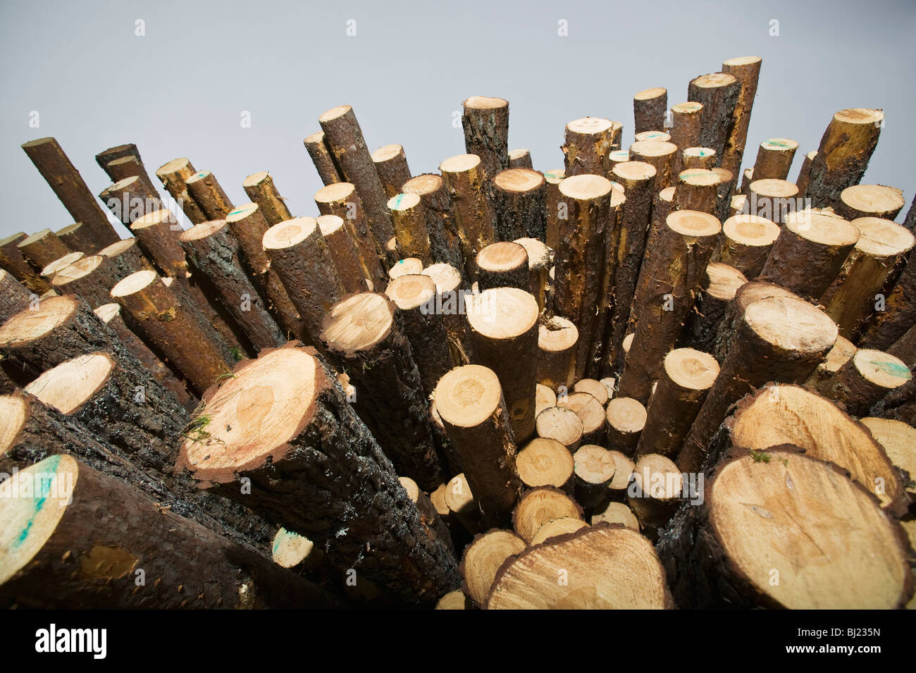 Lumber industri hi-res stock photography and images - Alamy
