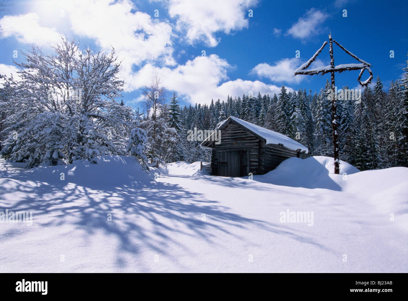 Maypole by a hut in the winter, Sweden Stock Photo - Alamy