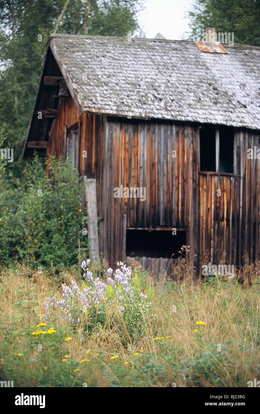 A tumbledown house, Sweden Stock Photo - Alamy