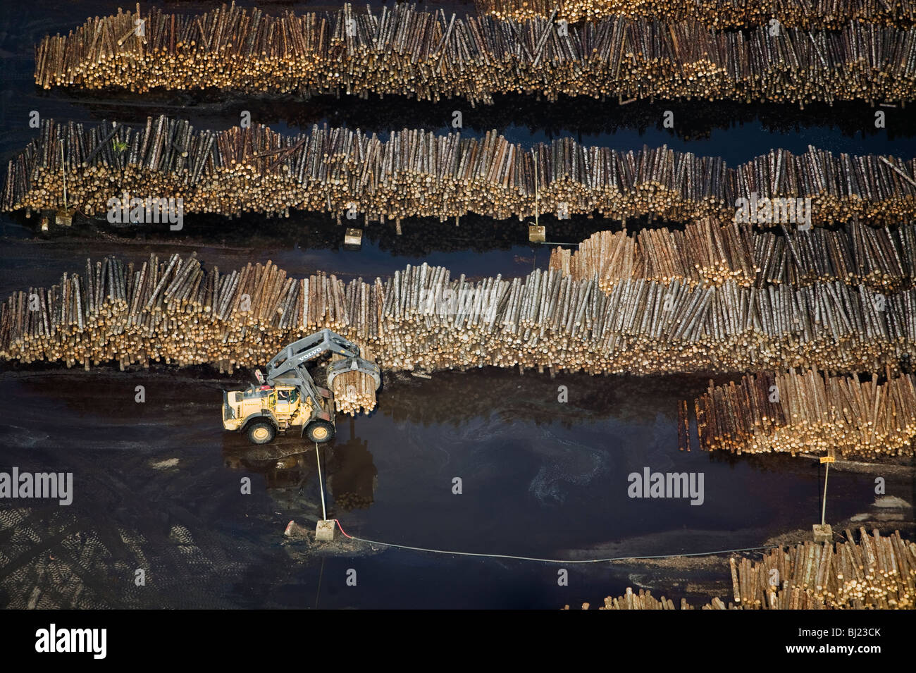 Farm forestry timbers hi-res stock photography and images - Alamy