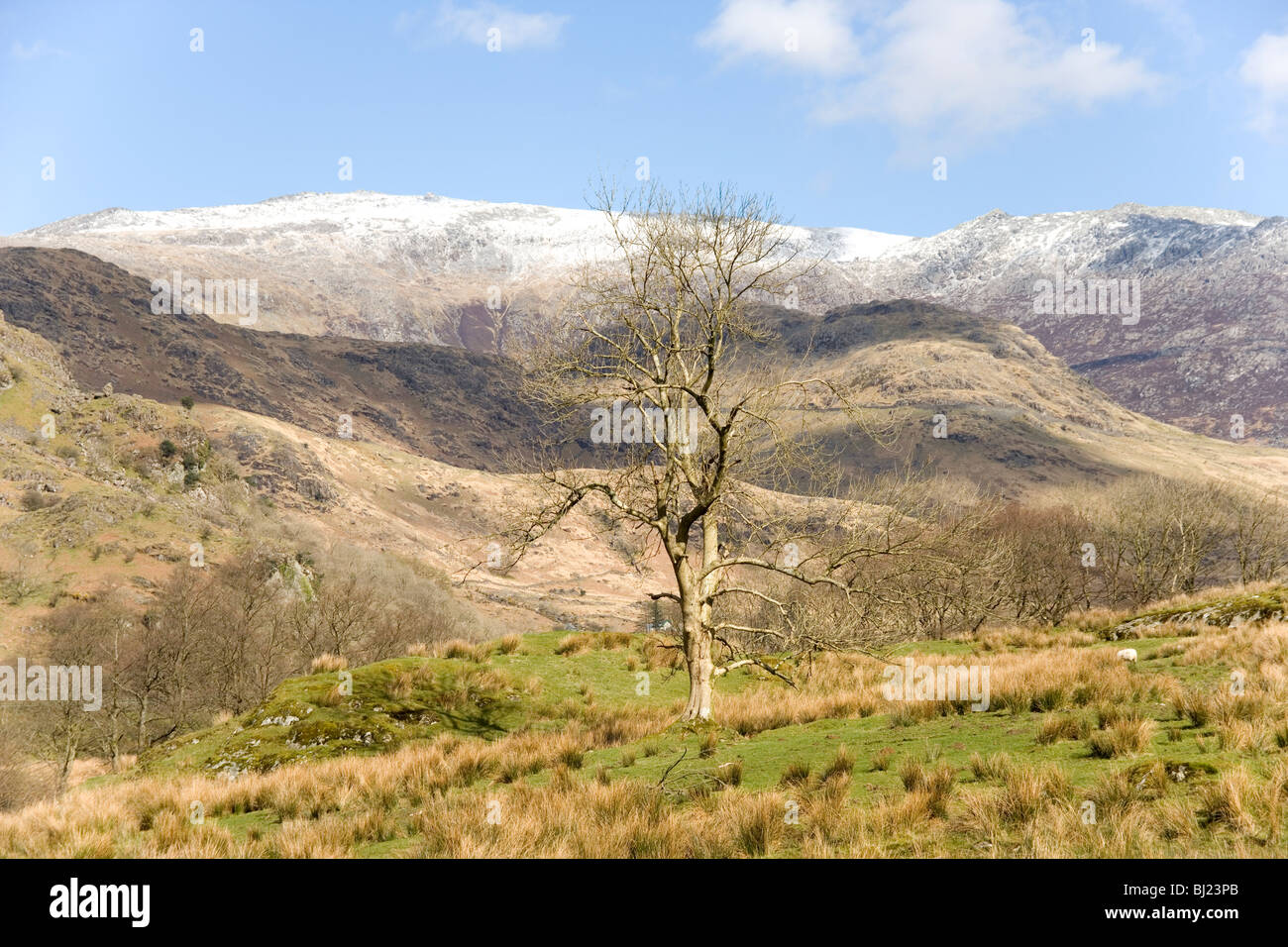 The Glyder mountain range from Nant Gwynant in Snowdonia, North Wales ...