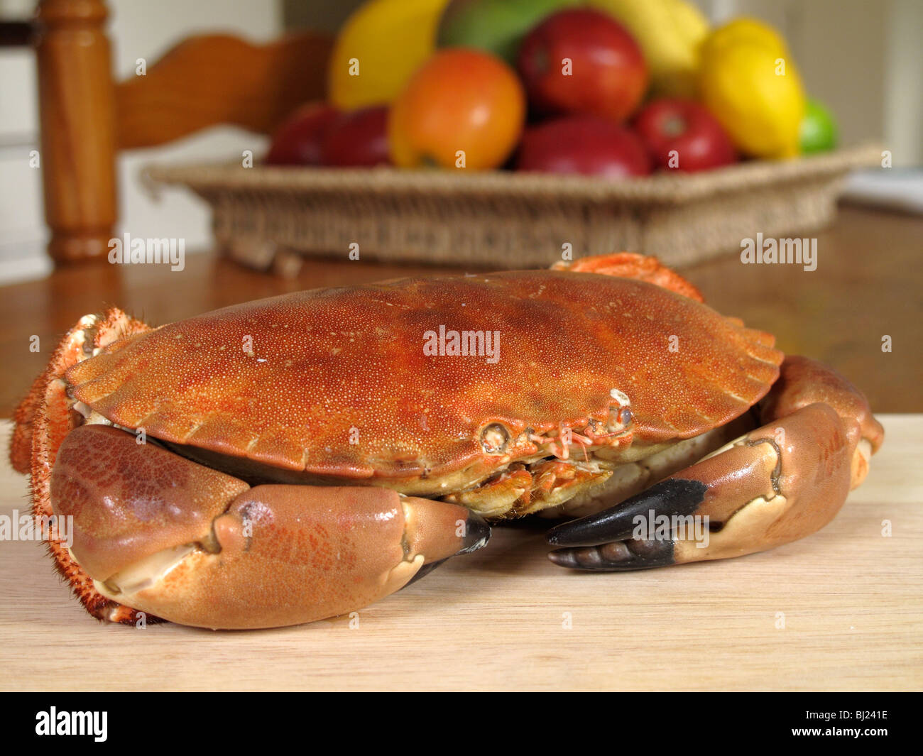 Cooked Cromer Crab Stock Photo - Alamy