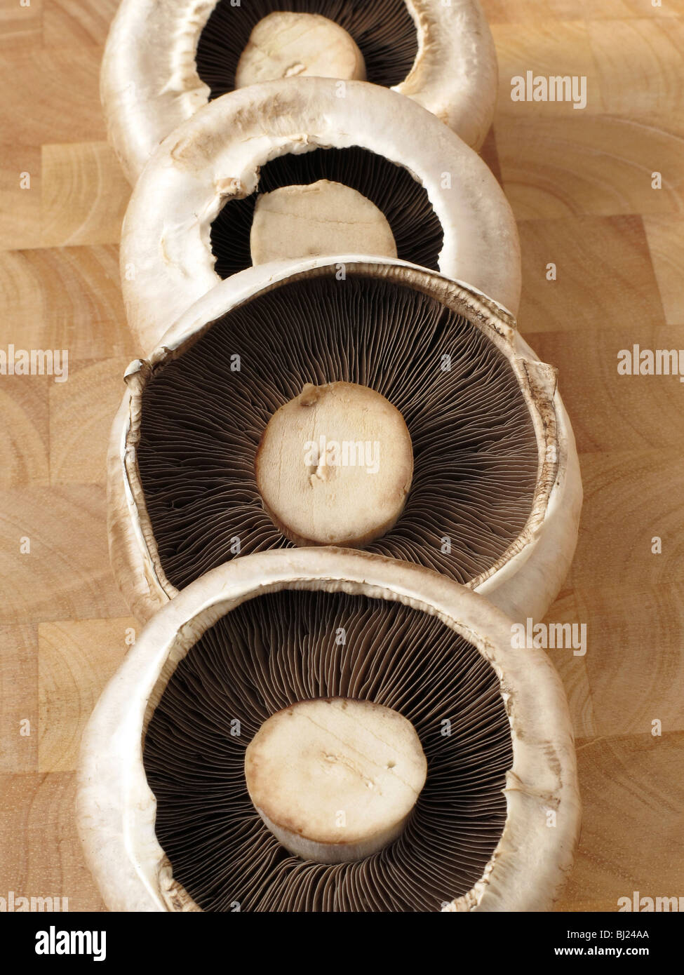Four Flat Mushrooms Stock Photo - Alamy