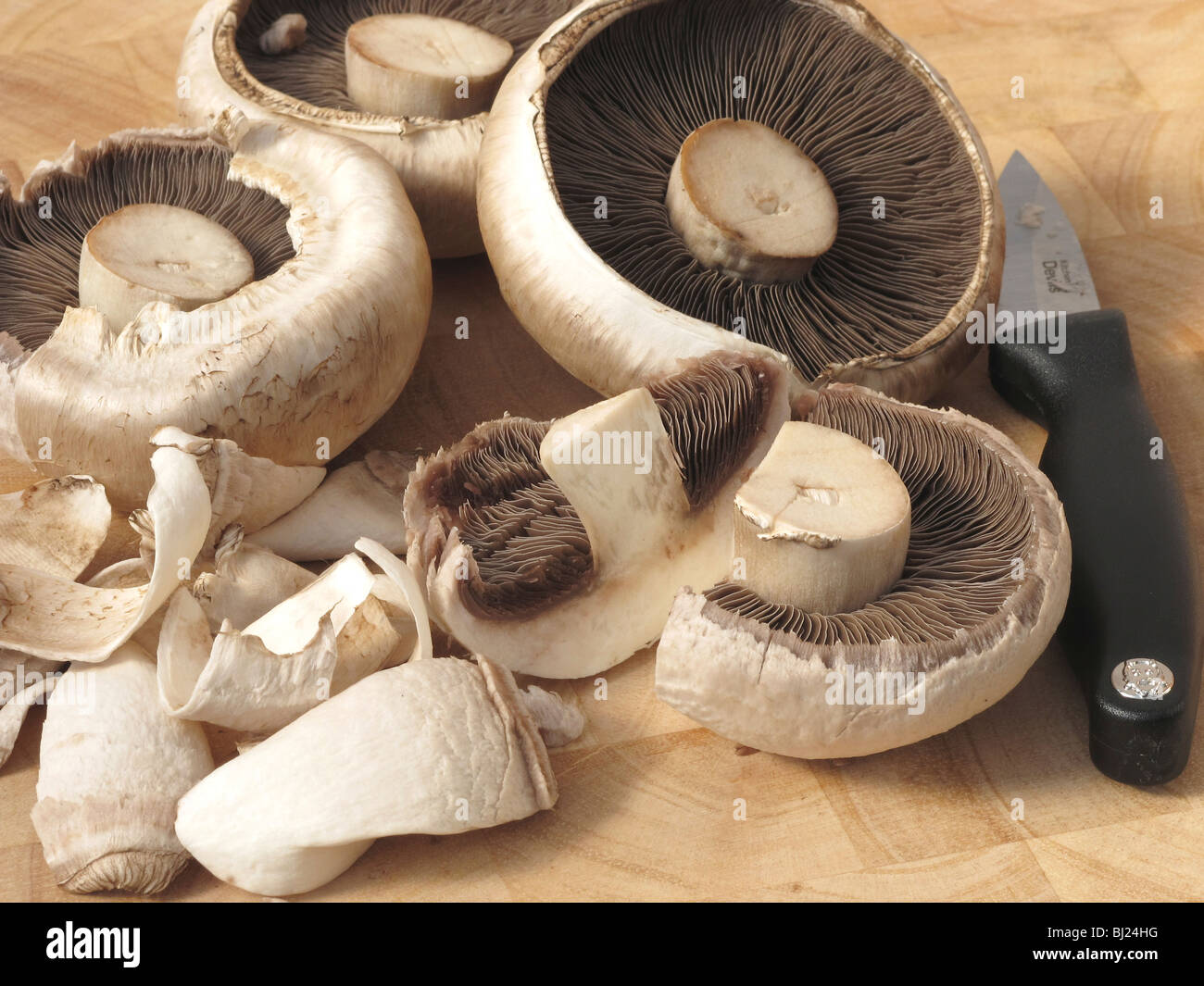 Large flat mushroom hi-res stock photography and images - Alamy