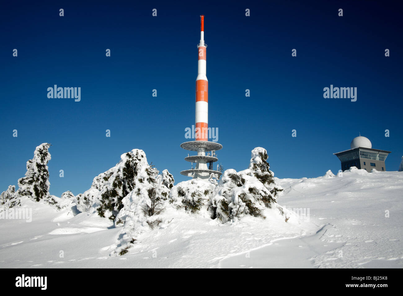Transmission Mast, and snow covered fir trees in winter, Brocken ...