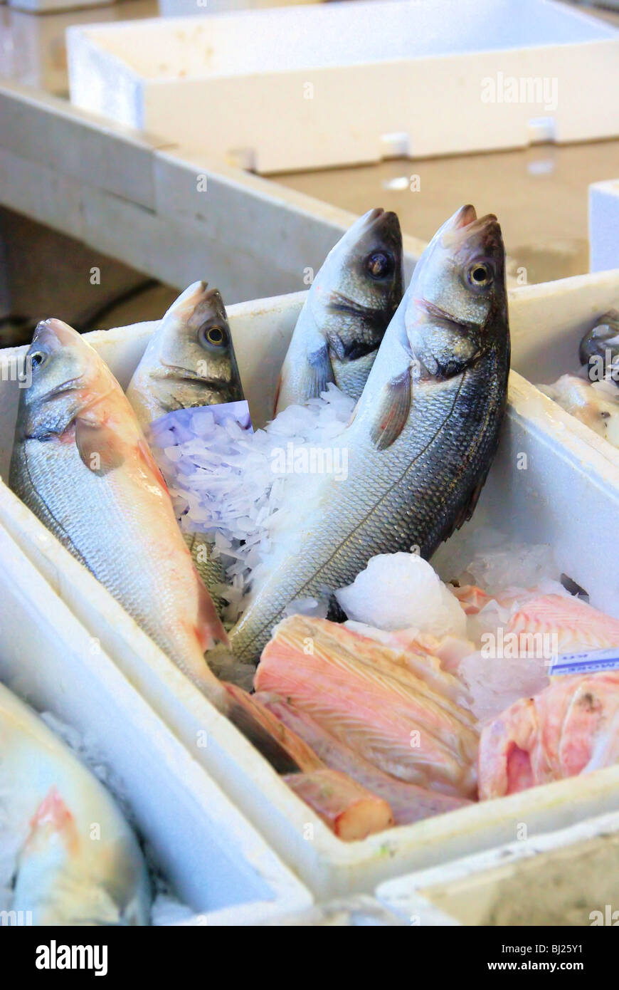 Fisch auf Eis - fish on ice 04 Stock Photo - Alamy