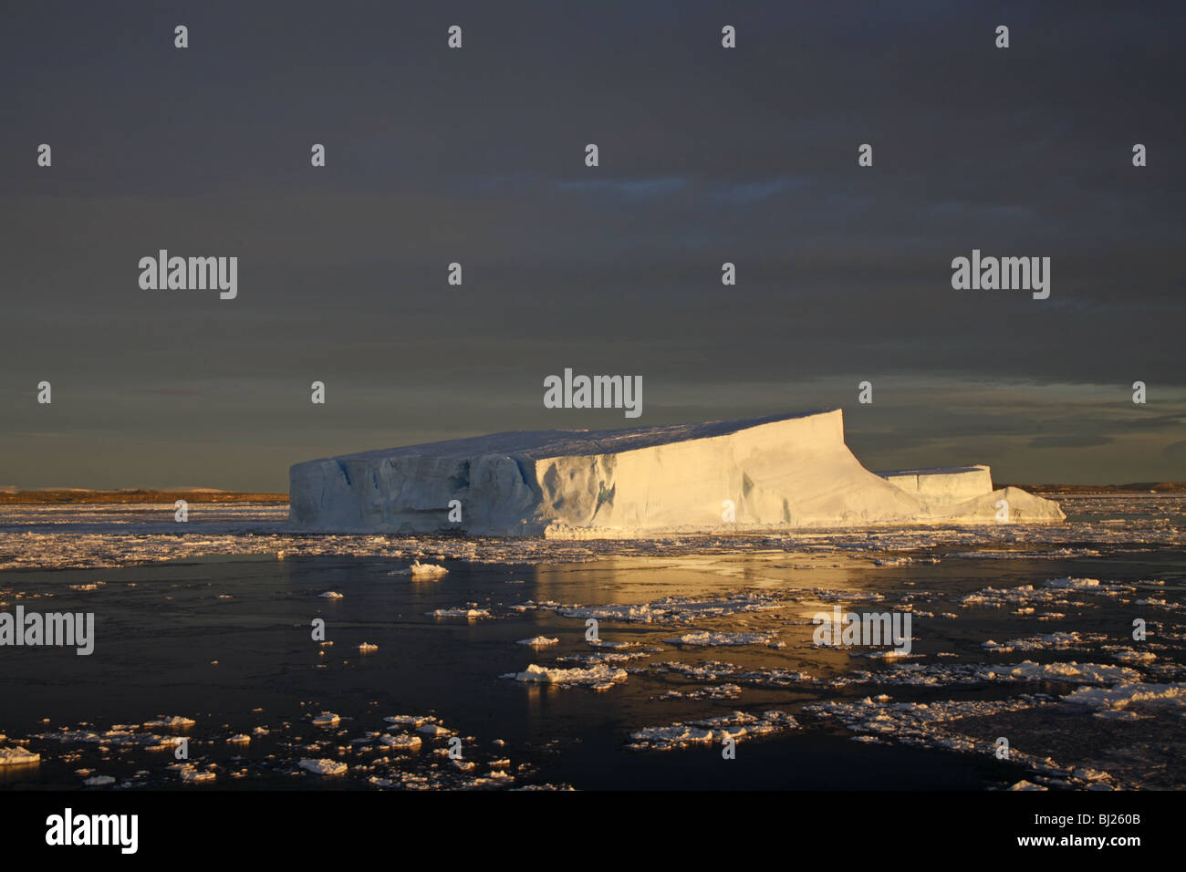 Tabular icebergs in iceberg alley, Antarctic peninsula Stock Photo - Alamy
