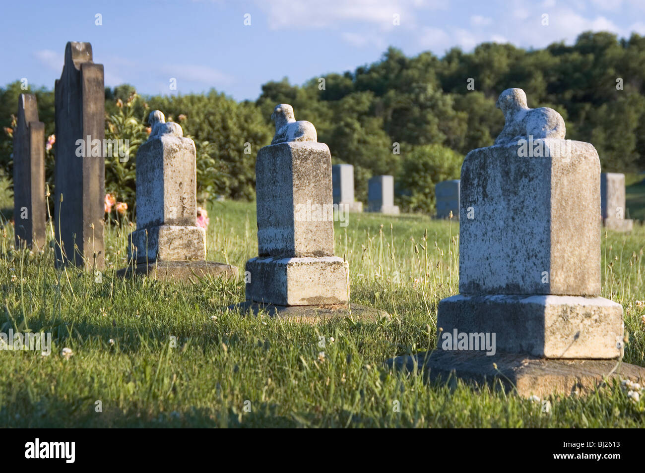 Grave lamb hi-res stock photography and images - Alamy