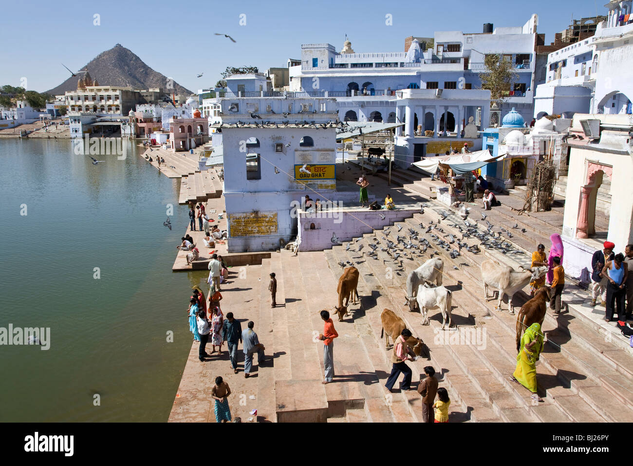 Hindu pilgrims making the ritual puja. Gau Ghat. Pushkar Lake ...