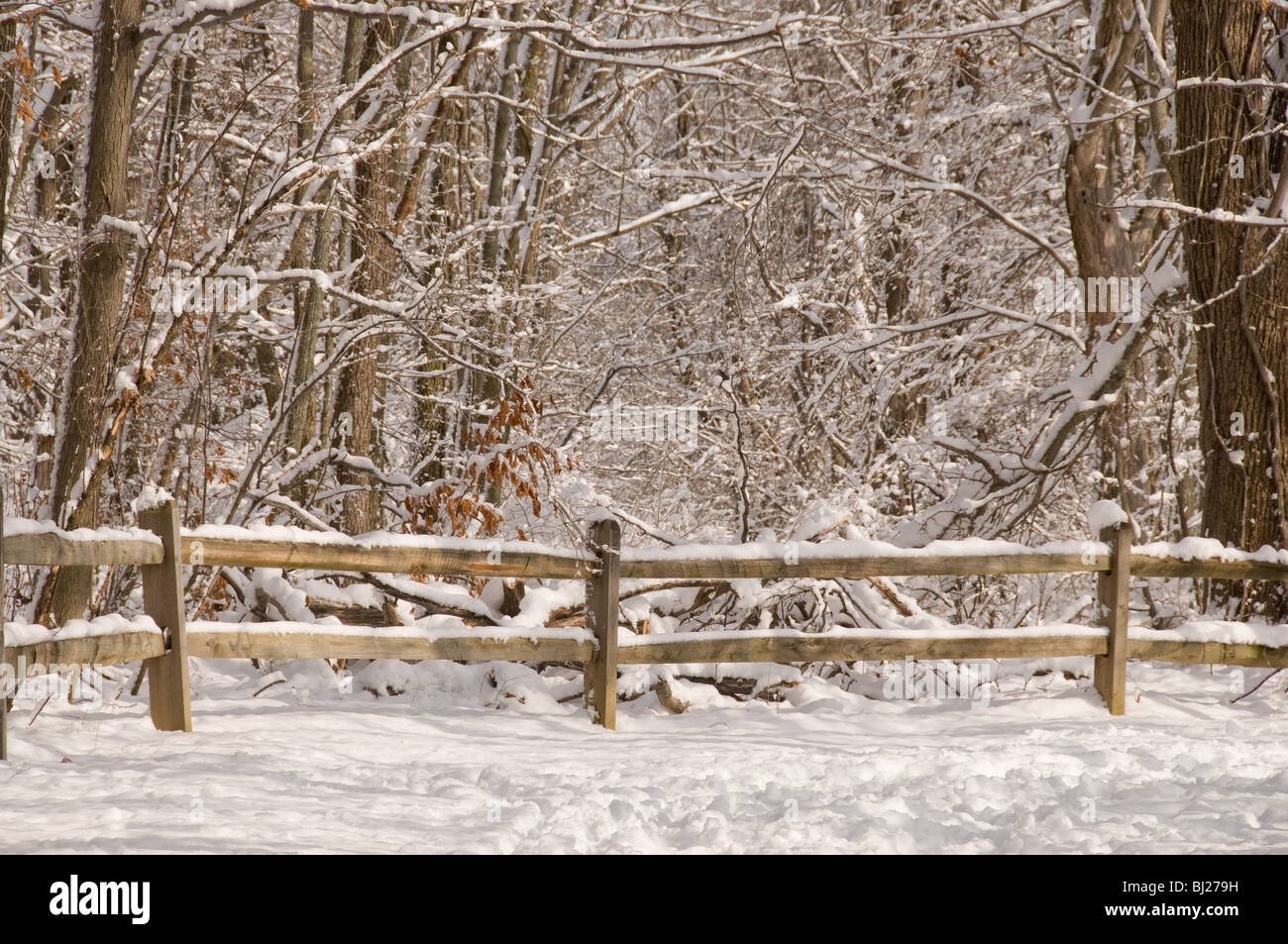 Winter wonderland usa hi-res stock photography and images - Alamy