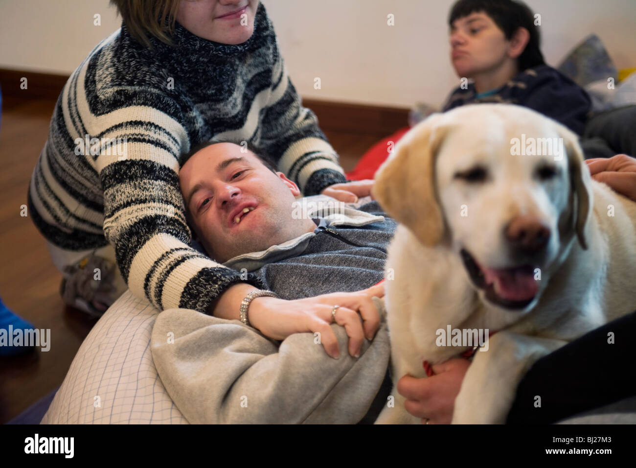 Nurse helping disabled with pet-therapy using a golden Labrador dog ...