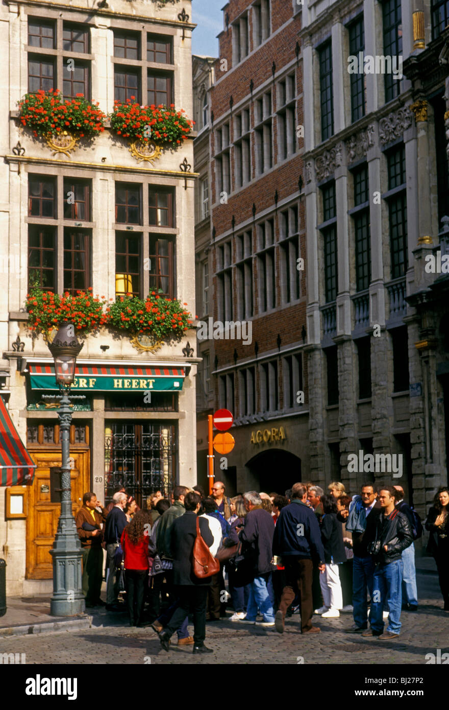 Belgians, Belgian people, tourists, adults, men, women, GrandPlace ...