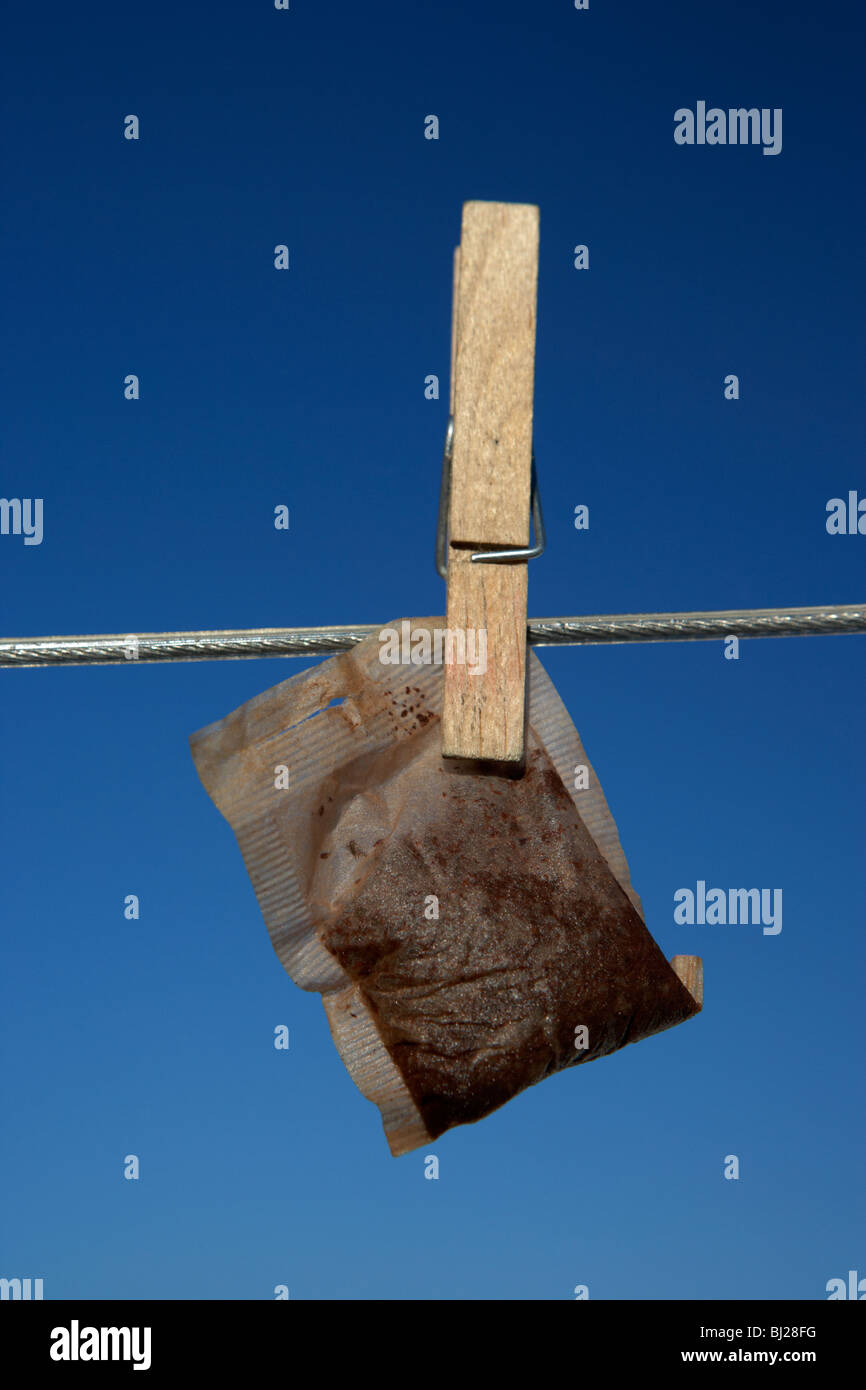 single wet teabag hanging on a washing line with blue sky Stock Photo ...
