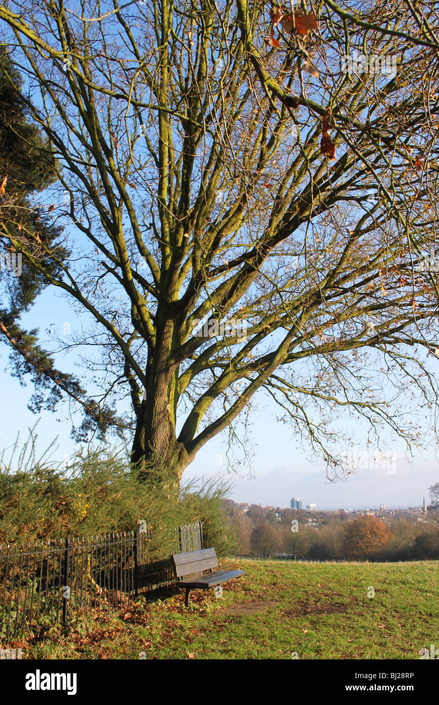 Heath park hi-res stock photography and images - Alamy