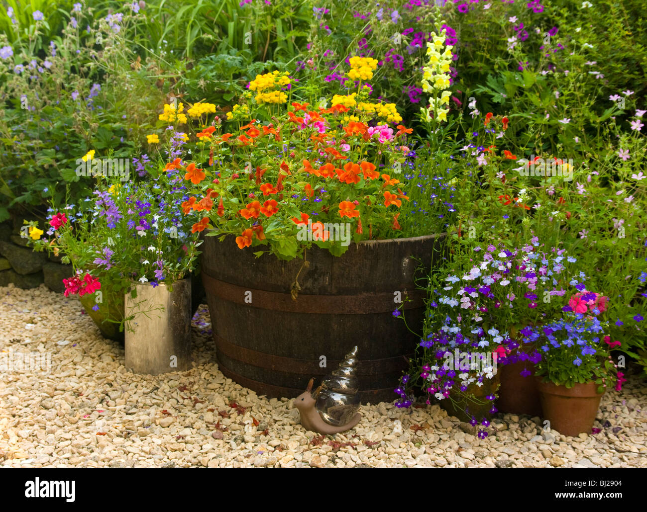 Blooms most of the summer hi-res stock photography and images - Alamy