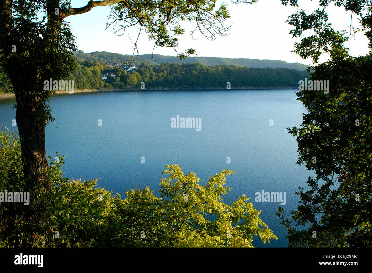 Naturpark Hohes Venn-Eifel Eifel, Rursee, Rurtalsperre Stock Photo - Alamy