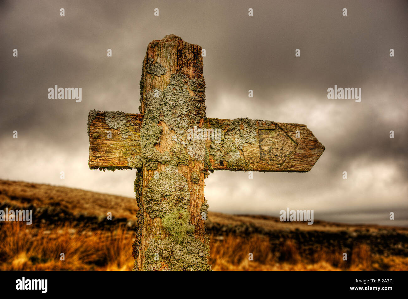 Welsh footpath signpost hi-res stock photography and images - Alamy