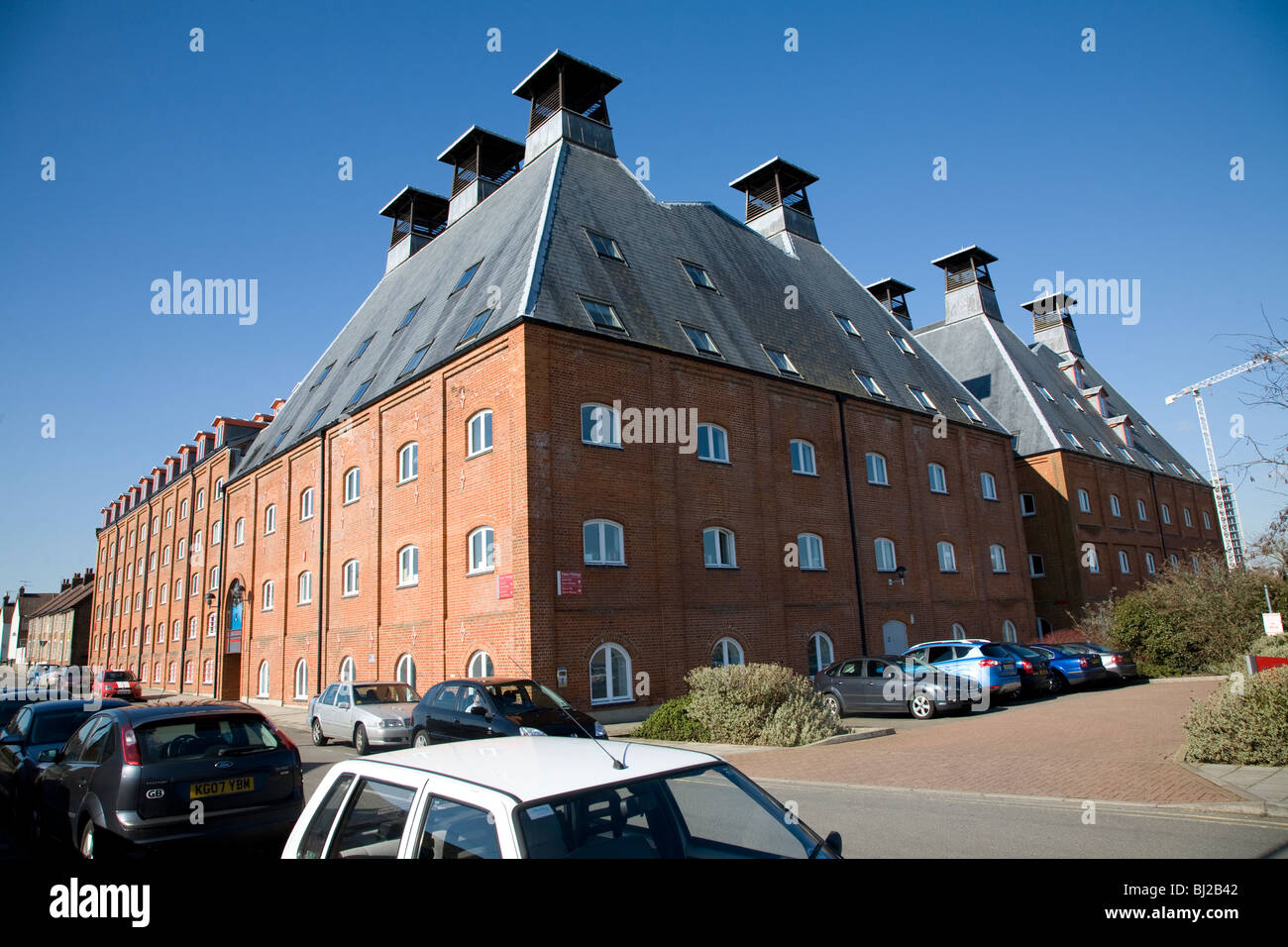 Felaw hi-res stock photography and images - Alamy