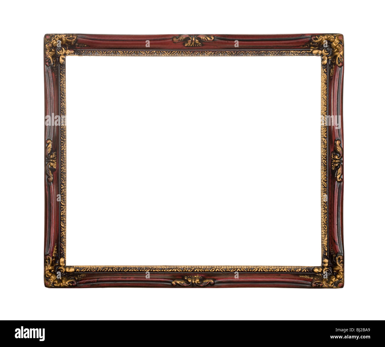 Fancy Gold Picture Frame