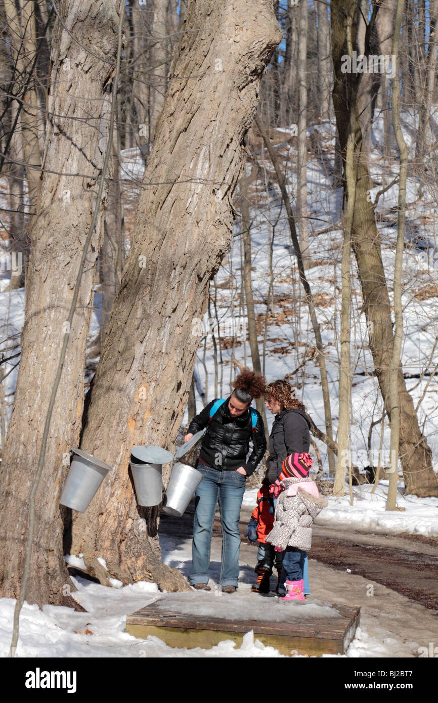 Ontario maple syrup trail hi-res stock photography and images - Alamy
