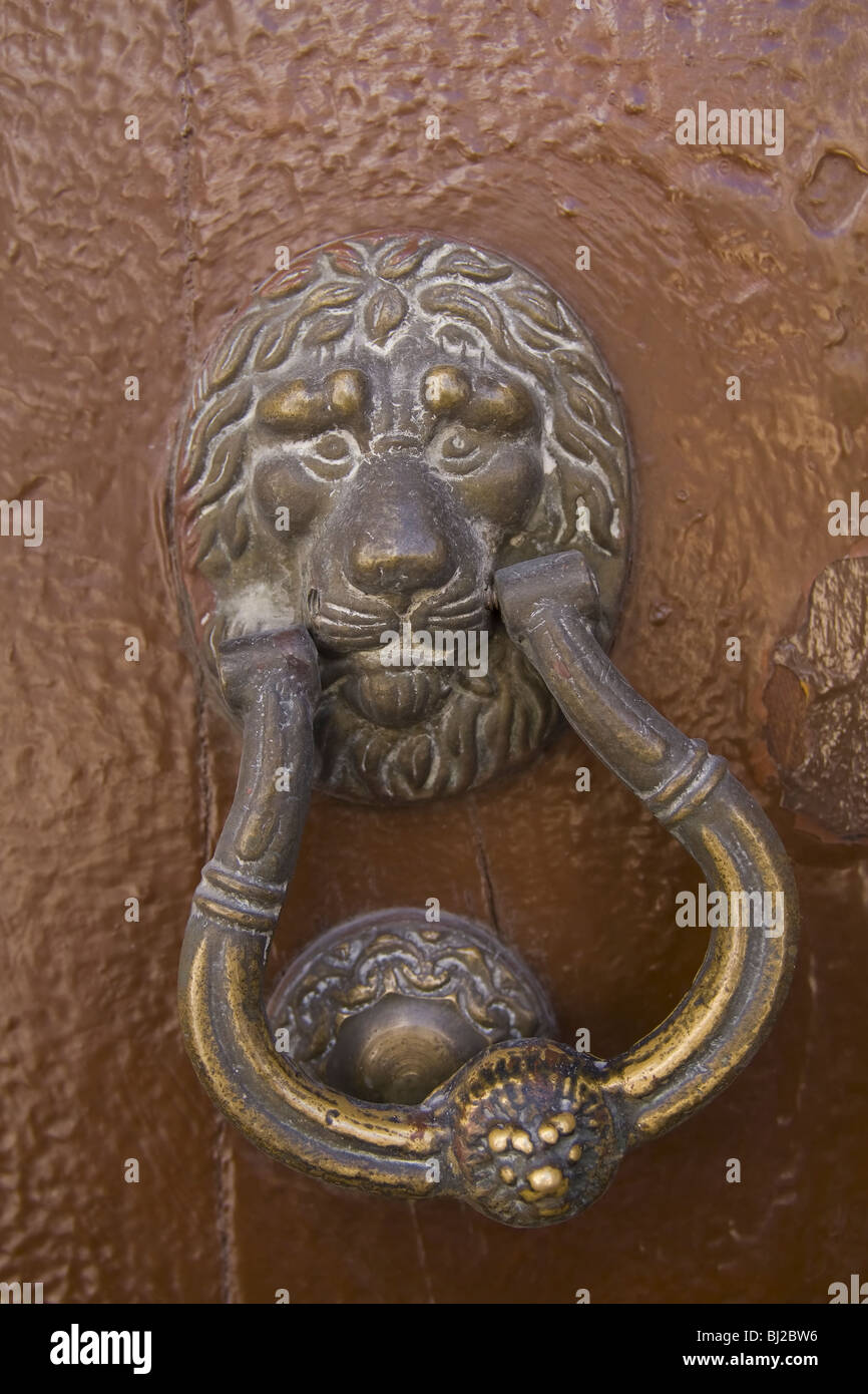 Lion shape hi-res stock photography and images - Alamy