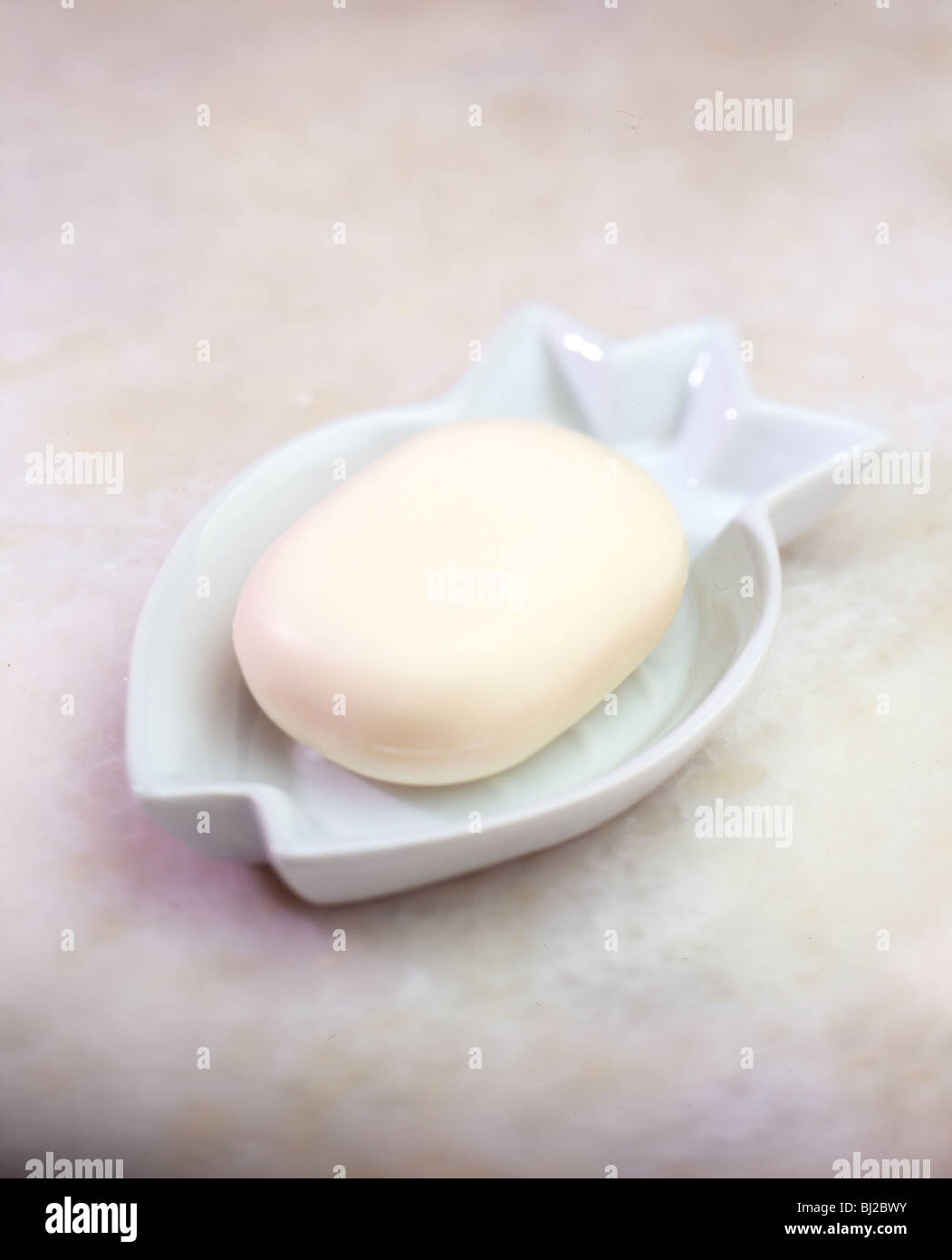 Fish shape soap dish Stock Photo - Alamy
