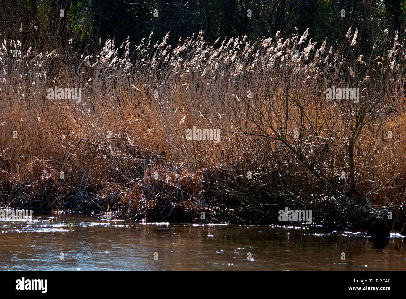 Test river stockbridge hi-res stock photography and images - Alamy