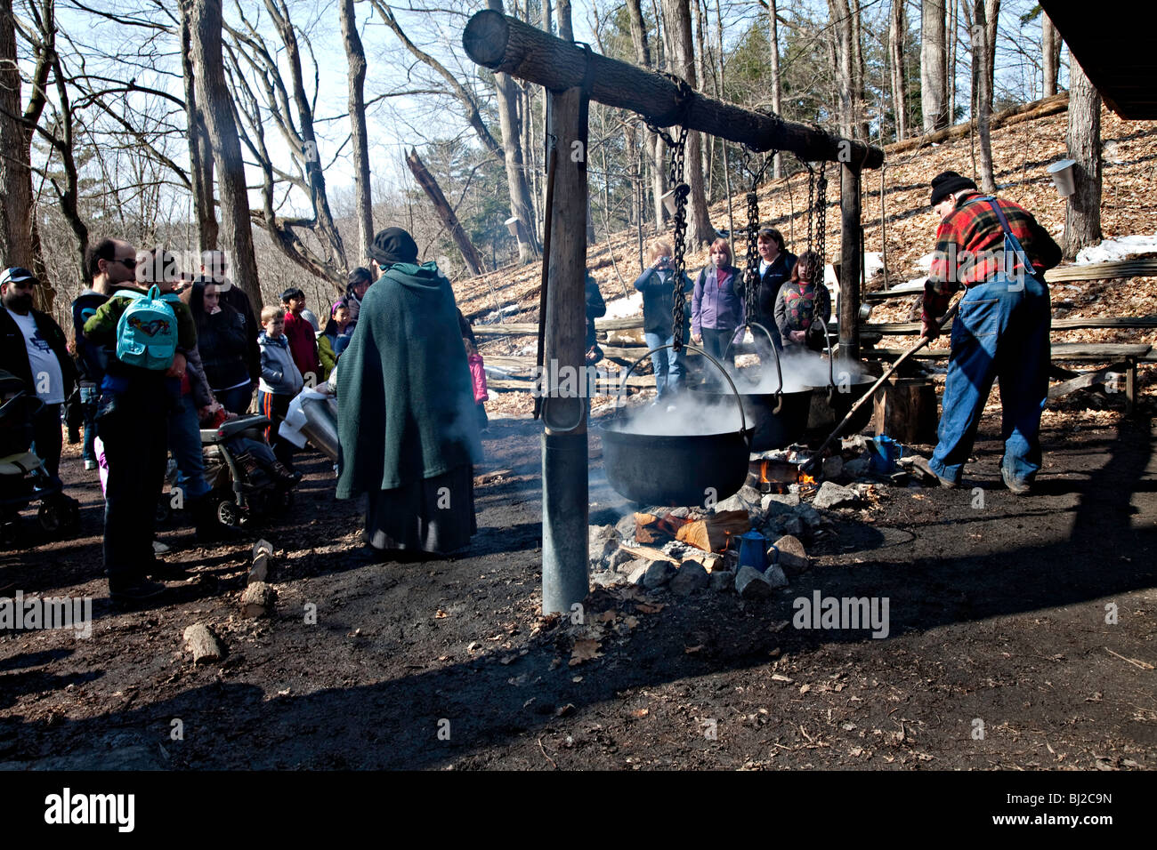 Maple Syrup Harvest in Northern Ontario;Canada Stock Photo - Alamy