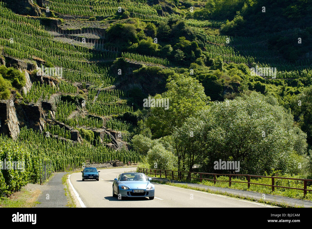 Eifel ahrtal bei bonn weinberge hi-res stock photography and images - Alamy