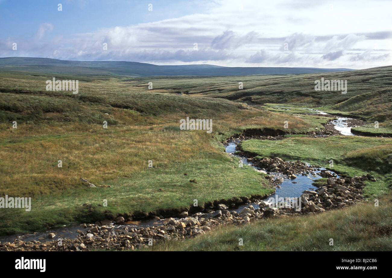 View of Troutbeck Moorhouse Upper Teesdale National Nature Reserve ...