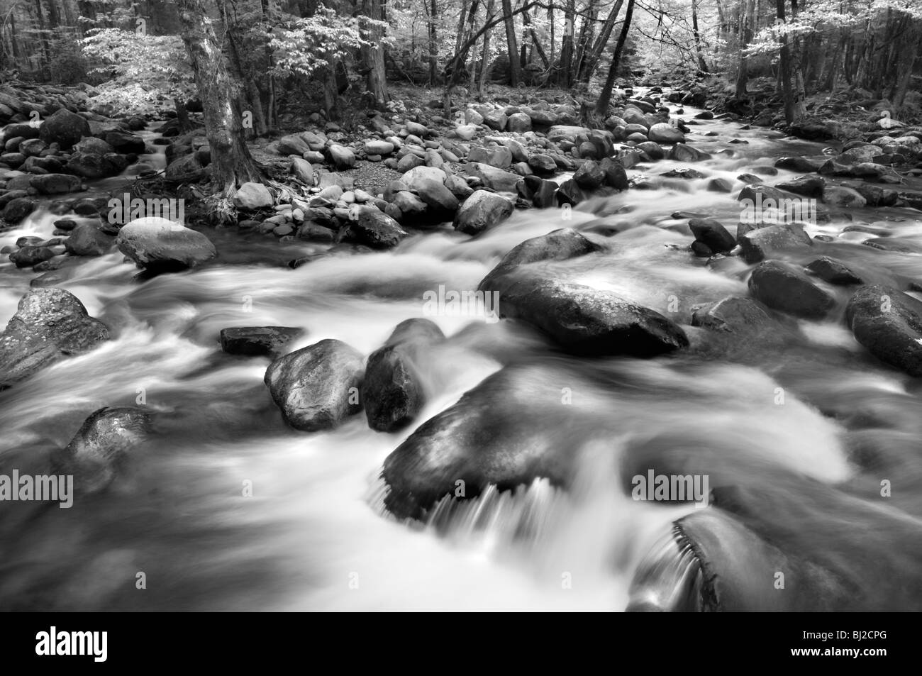 Waterfall in middle nature Black and White Stock Photos & Images - Alamy