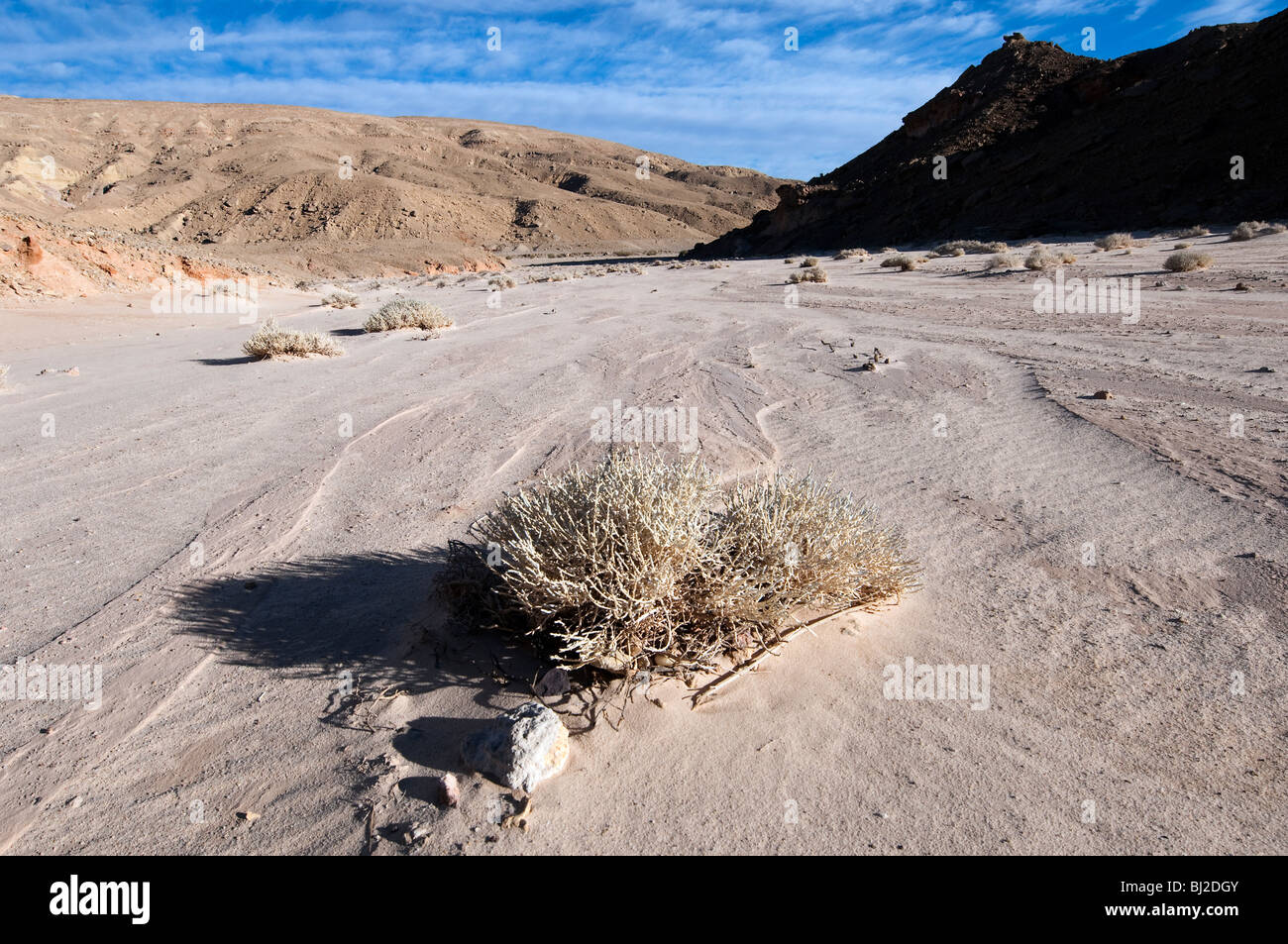 Sinai desert hi-res stock photography and images - Alamy