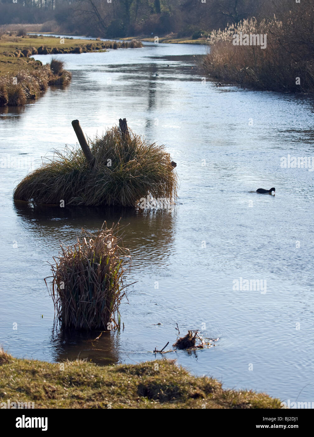 river test at stockbridge Stock Photo - Alamy